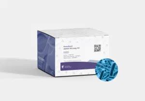 Double Stranded Qubit DNA HS Assay Kit Body Fluid Next Generation Sequencing Kit China DNA