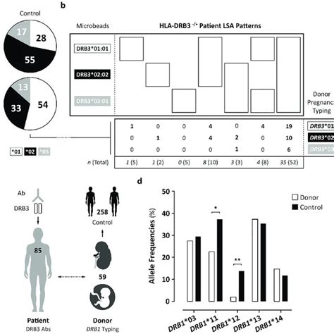 The Relative Mrna And Protein Expression Of Hla Drb1 And Hla Drb3 A Download Scientific
