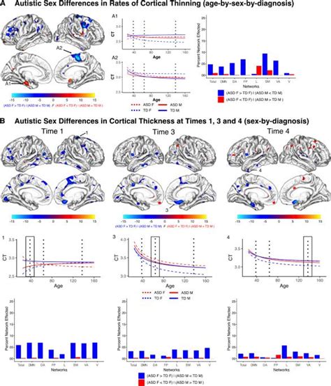 Kamran Shazand On Linkedin Sex Differences In Trajectories Of Cortical