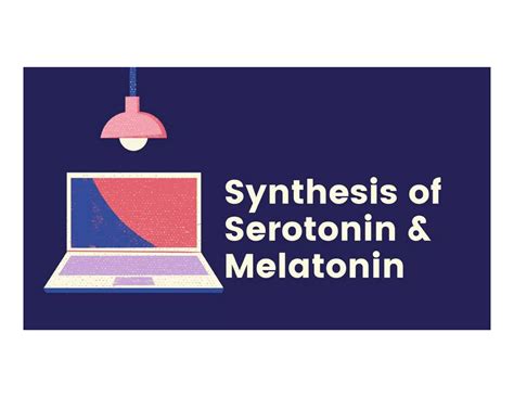 Synthesis Of Serotonin And Melatonin Ppt