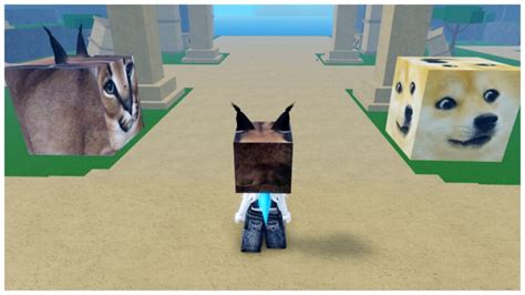 Meme Sea Evil Noob Guide How To Spawn And Drops Kongbakpao