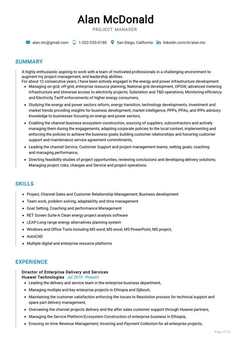 Project Manager Resume Summary