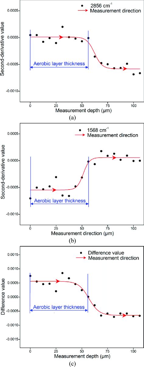 Typical Second Derivative Spectral Variation Along The Measurement Path Download Scientific