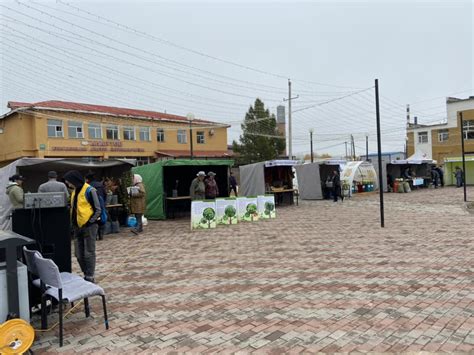 Булган аймгийн Байгаль орчны газар