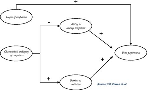 Causal Ambiguity Cio Wiki