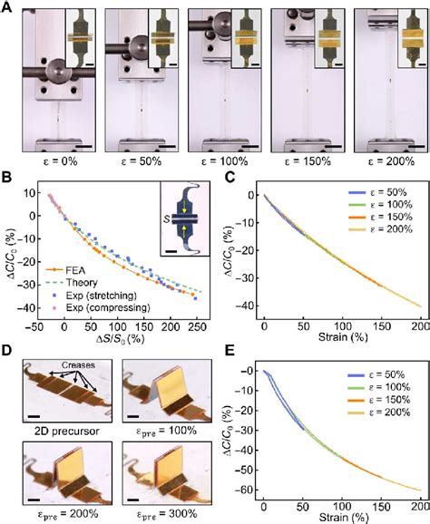 Characterization Of The Strain Sensing Range And The Corresponding Dh Download Scientific