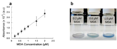 The Colorimetric Reaction Of MPI With Different Concentrations Of Download Scientific Diagram