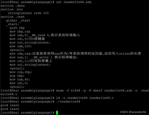 操作系统实战45讲之64位inter汇编语言系统调用浅析，使用nasm汇编器，标准输入的内容输出到标准输出64位汇编调用 Csdn博客