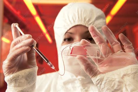 Lab On A Chip Stock Image C Science Photo Library