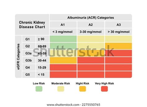 Chronic Kidney Disease Ckd Levels Chart Stock Vector Royalty Free Shutterstock