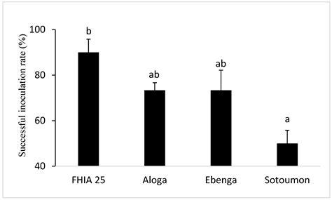 Variation In Symptom Development And Infectivity Of Banana Bunchy Top Disease Among Four