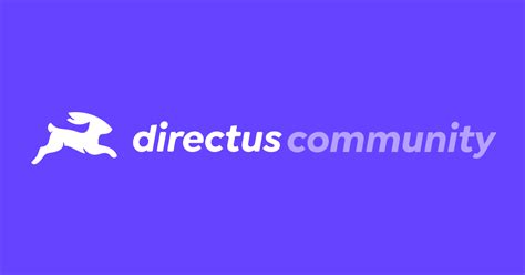 throwing validation error from custom hook help directus community