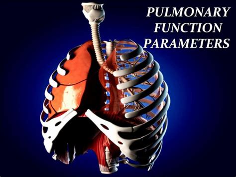 Pulmonary Function Ppt