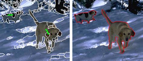 Figure 1 From Interactive Image Segmentation By Maximal Similarity