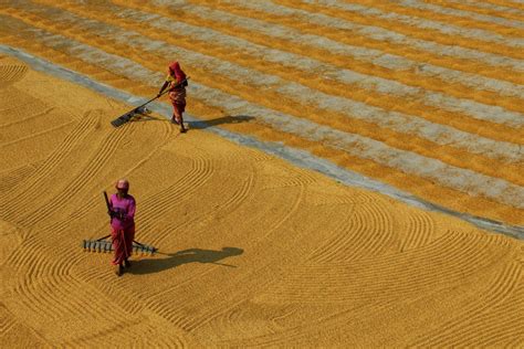 Climate Smart Agriculture Interventions Must Be Gender Responsive Farming First