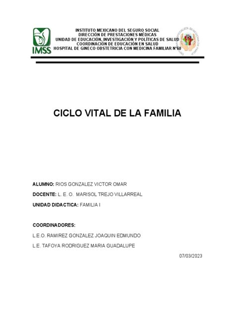 Ciclo Vital De La Familia Familia I Pdf Familia Sociedad