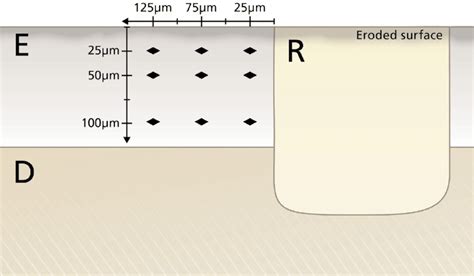 Schematic Drawing Of The Cross Sectional Surface Microhardness Csmh Download Scientific