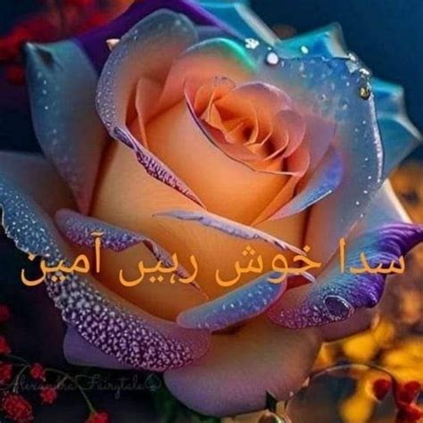 Abdurrahman Mohammed Youtube