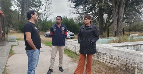 El Ministerio De Ambiente De Jujuy Envía Una Cría De Puma A Un