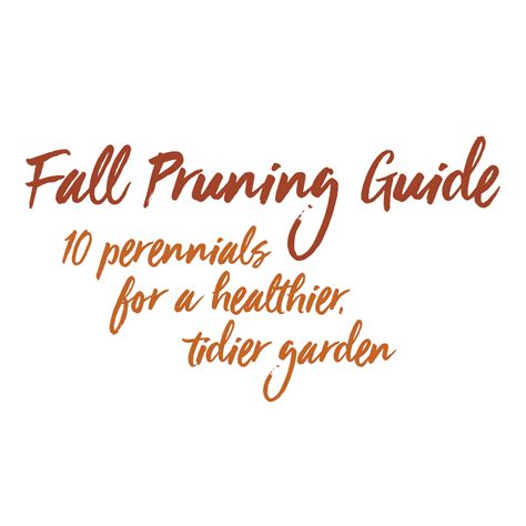 Fall Pruning Guide 10 Perennials For A Healthier Tidier Garden