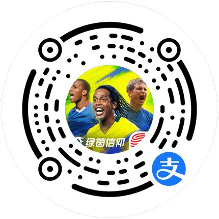 绿茵之上成就传奇