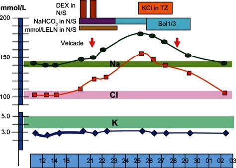 Full Article Severe Hypernatremia And Hyperchloremia In An Elderly Patient With Igg Kappa Type