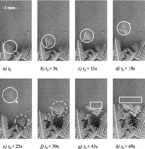 Sequence Of X Ray Radiographs Showing Dendrite Fragmentation Events Download Scientific