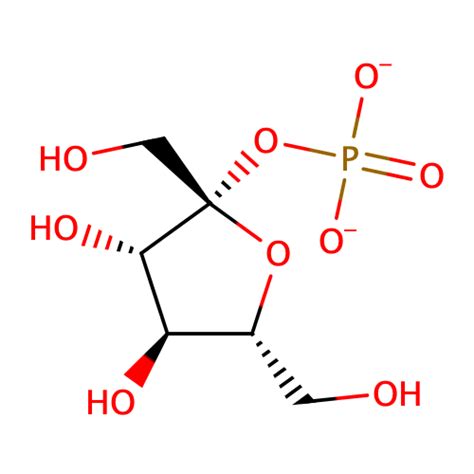 Beta D Fructofuranose