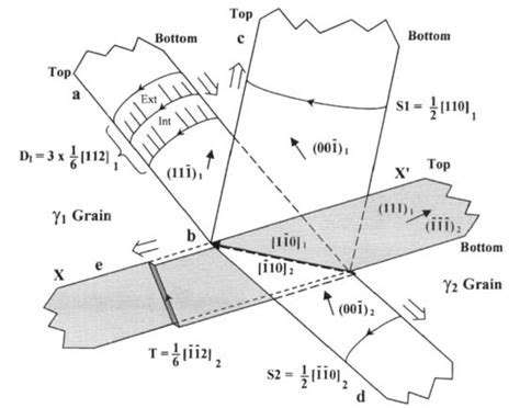 Schematic Representation Of The Edge Type Interaction Along Abcd Of Download Scientific Diagram