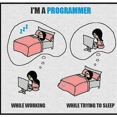 Life Of A Programmer R Programmerhumor