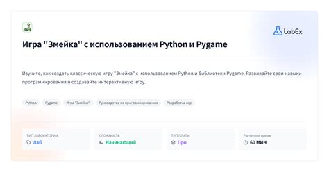 Python Pygame Игра Змейка Руководство по программированию Разработка игр Labex