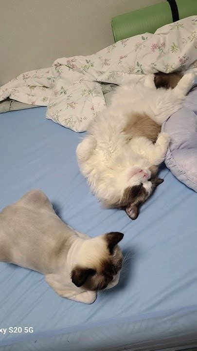 또 또 젖물리는 여사님 각각 개성따라 주무시는 폼이 일품 아버님 쩍벌 아드님따님 아가아가 꿈나라 아버님 체통 지켜요 Youtube