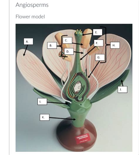 Solved Label All Parts Please