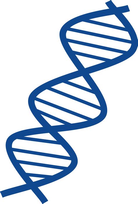 Dna Vector Art Clipart Best