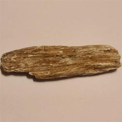 Fossilized Wood Under A Microscope What Causes These Crystalizations R Geology