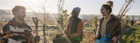 Execution Only Service For Charities And Trustees