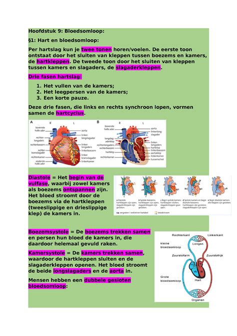 H9 Bloedsomploop Sv Samenvatting Biologie Bloedsomloop Hoofdstuk 9