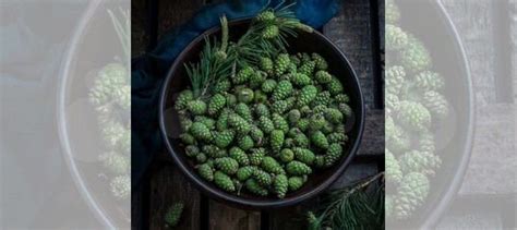 Шишка сосновая в сиропе купить в Рубцовске Товары для дома и дачи Авито