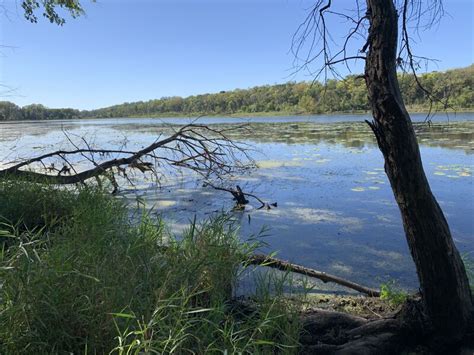 Carla Sciaky On Linkedin Carlasciaky Heartoftheswan Folksinger Acousticvibes Singersongwriter…