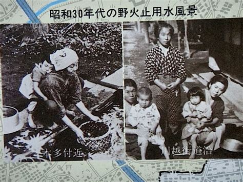 齋藤彰のブログ 昔の野火止用水