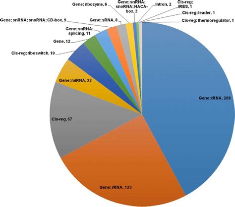 Pie Chart Summarizing The Distribution Of The Noncoding Rna Genes In