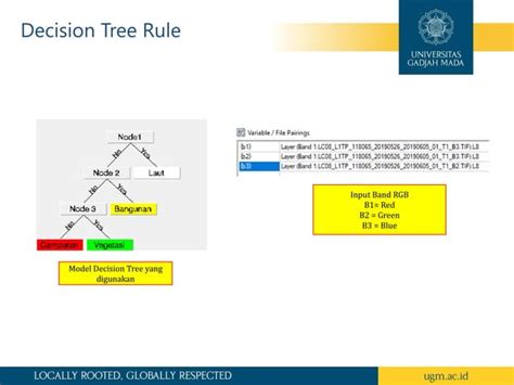 Decision Tree Classification In Remote Sensing Pdf