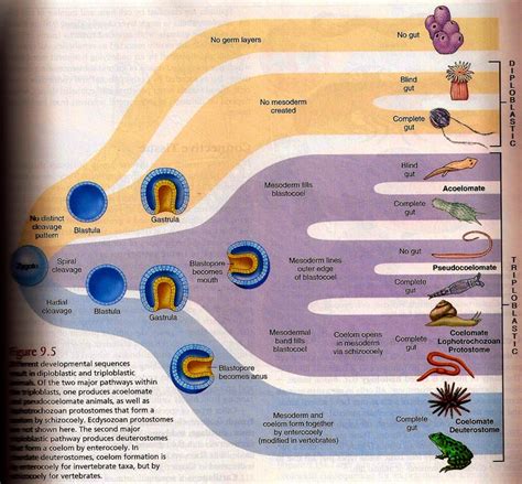 Floryser Ronzon Contreras S 2 Reporte Semana 1 9 13feb