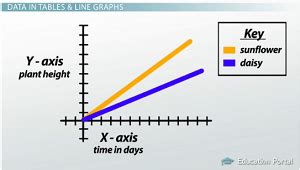 43 Graph Worksheet Graphing And Intro To Science Answer Key Worksheet