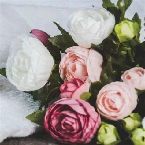 2022年最新句子出炉了！能忍住不笑算你厉害男人媳妇钱包