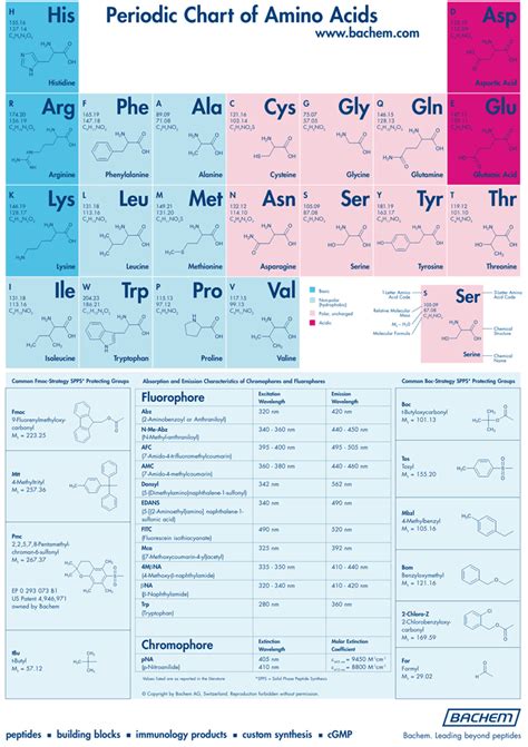 Bachem Periodic Chart Amino Acids Poster 377 Pdf