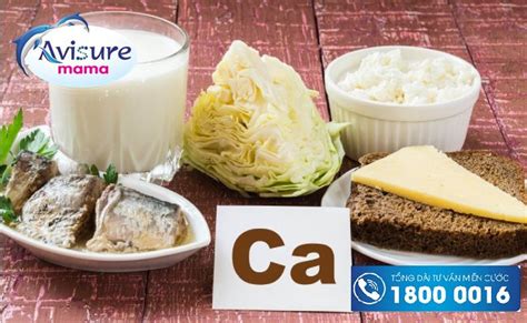 Đánh Giá 6 Loại Canxi Cho Bà Bầu Tốt Nhất Trên Thị Trường Avisure Mama