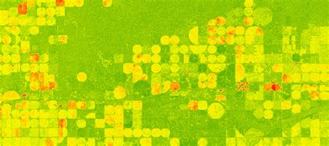 Agriculture Monitoring With Sar At Scale By Scott Soenen Medium