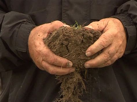 Soil Sampling Technique Qlabs Ltd