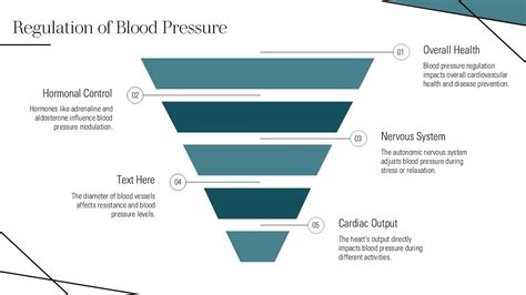 Top 10 Cardiovascular System Ppt Powerpoint Presentation Templates In 2025